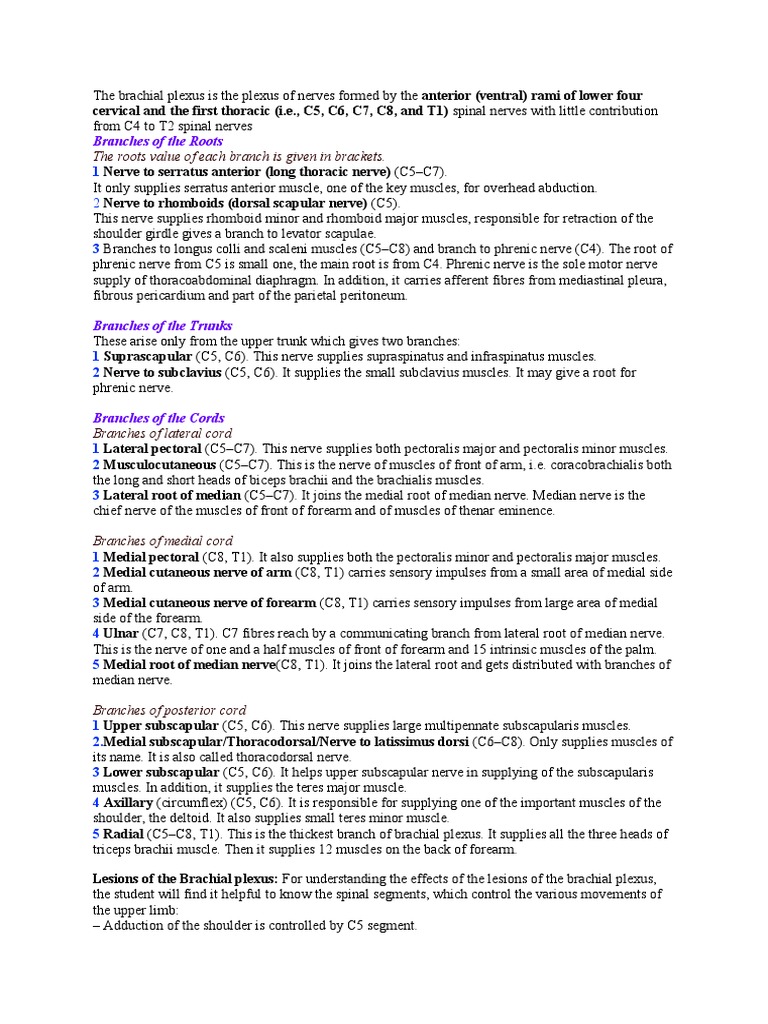 The Roots Value of Each Branch Is Given in Brackets | PDF | Arm ...