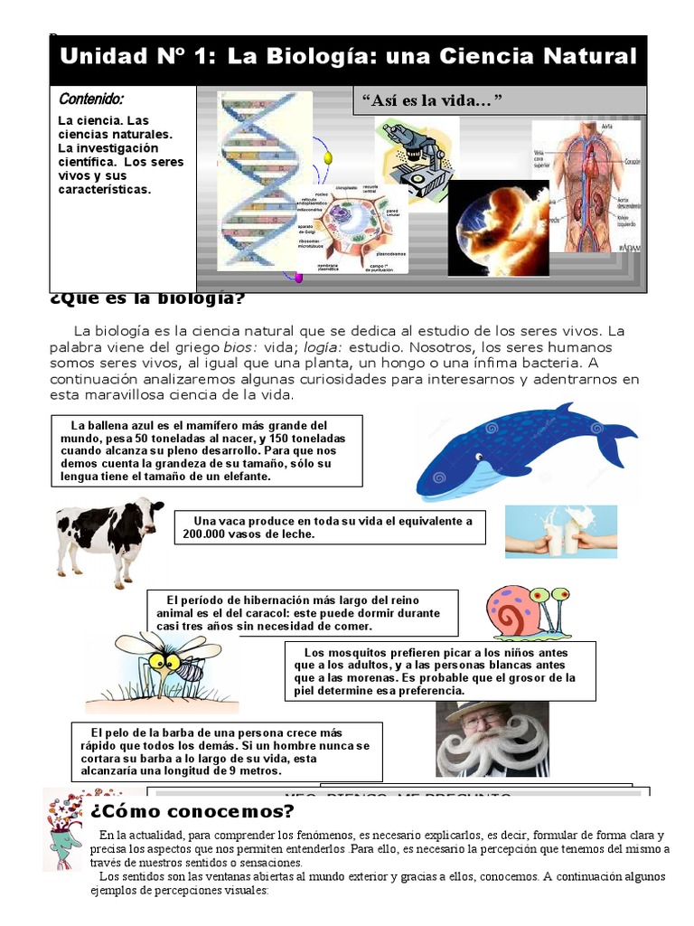 Bruno Molina TPN 1 Biologia | PDF | Organismos | Vida