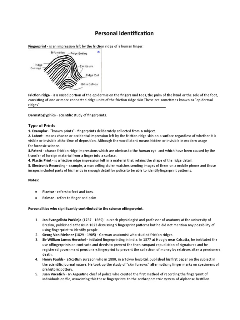 Personal Identification | PDF | Fingerprint