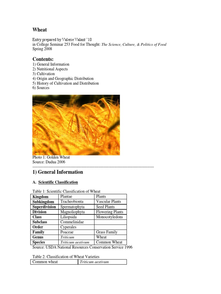 Wheat: A. Scientific Classification | PDF | Wheat | Whole Grain