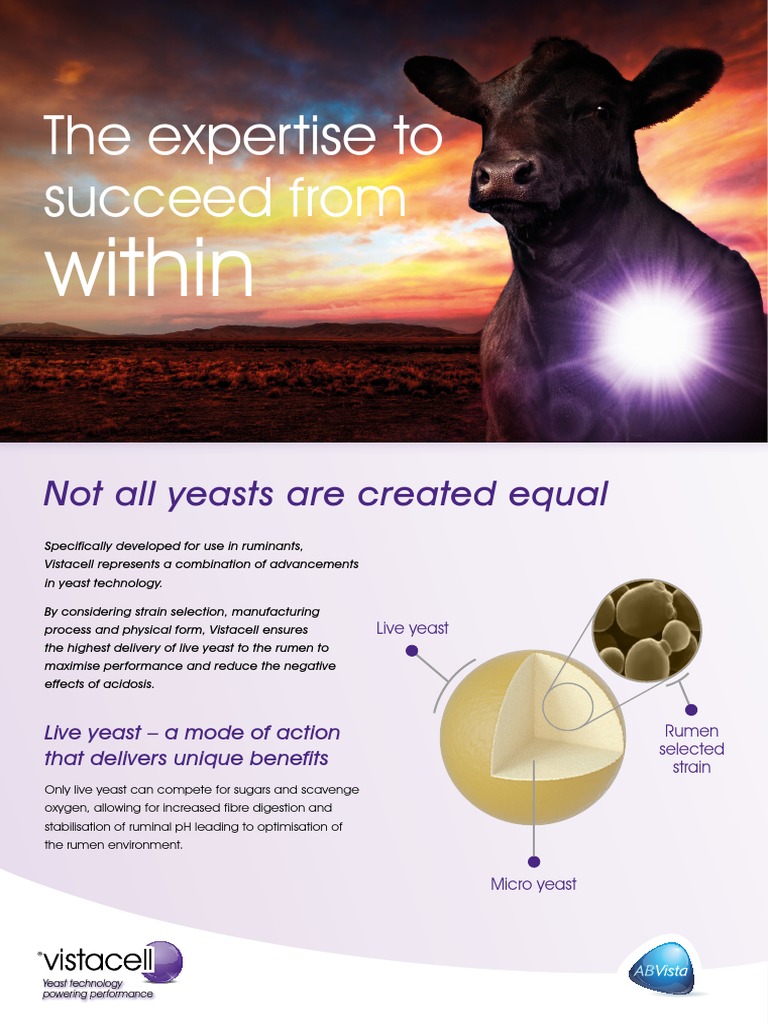 Maximizing Rumen Performance Through Strategically Developed Live Yeast ...