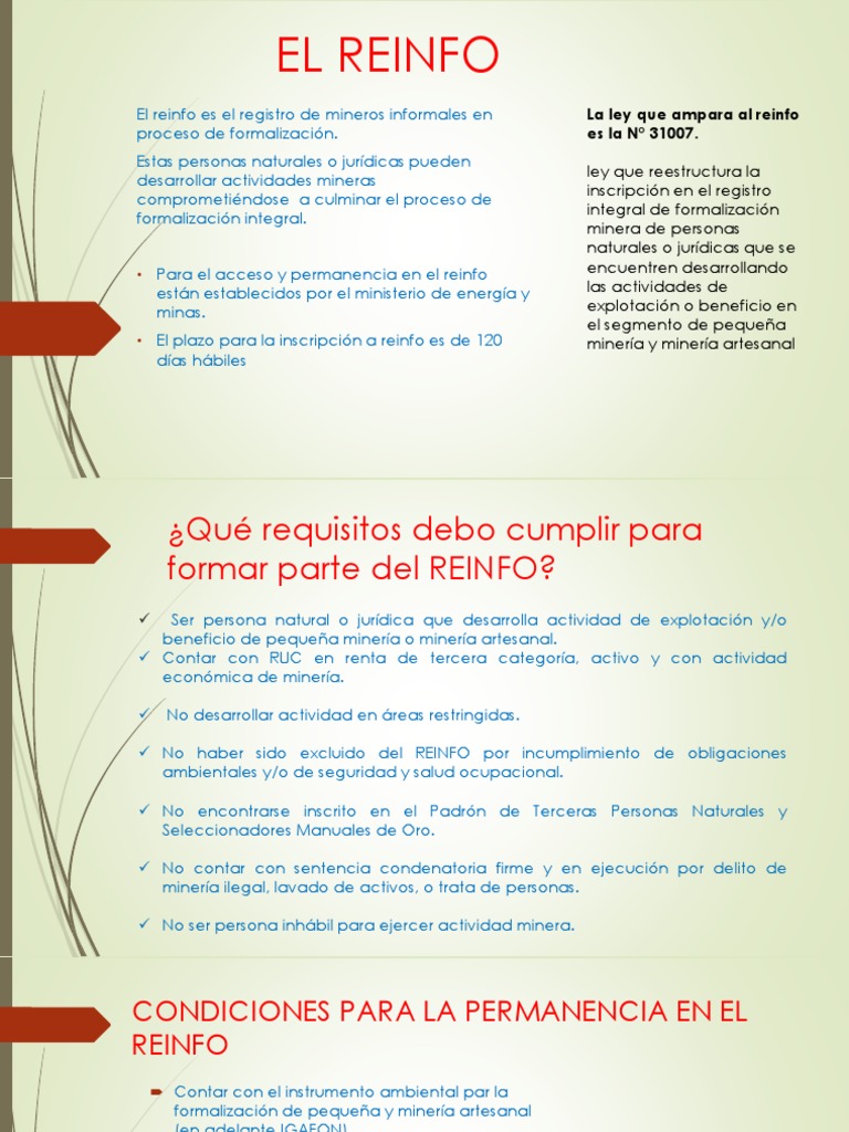 El Reinfo | PDF | Minería