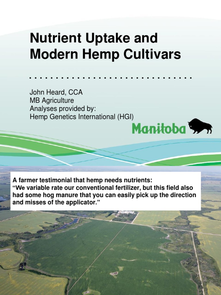 Hemp Nutrient Needs & Uptake | PDF | Hemp | Soil