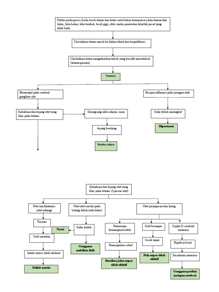 Pathway Tetanus | PDF
