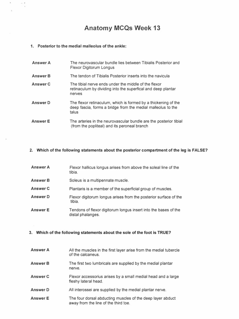 Anatomy MCQ ACEM Primary 01 | PDF | Human Leg | Ankle