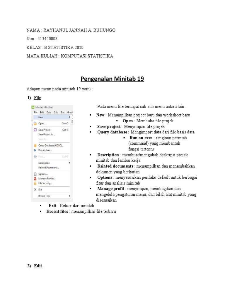 Pengenalan Minitab 19 | PDF