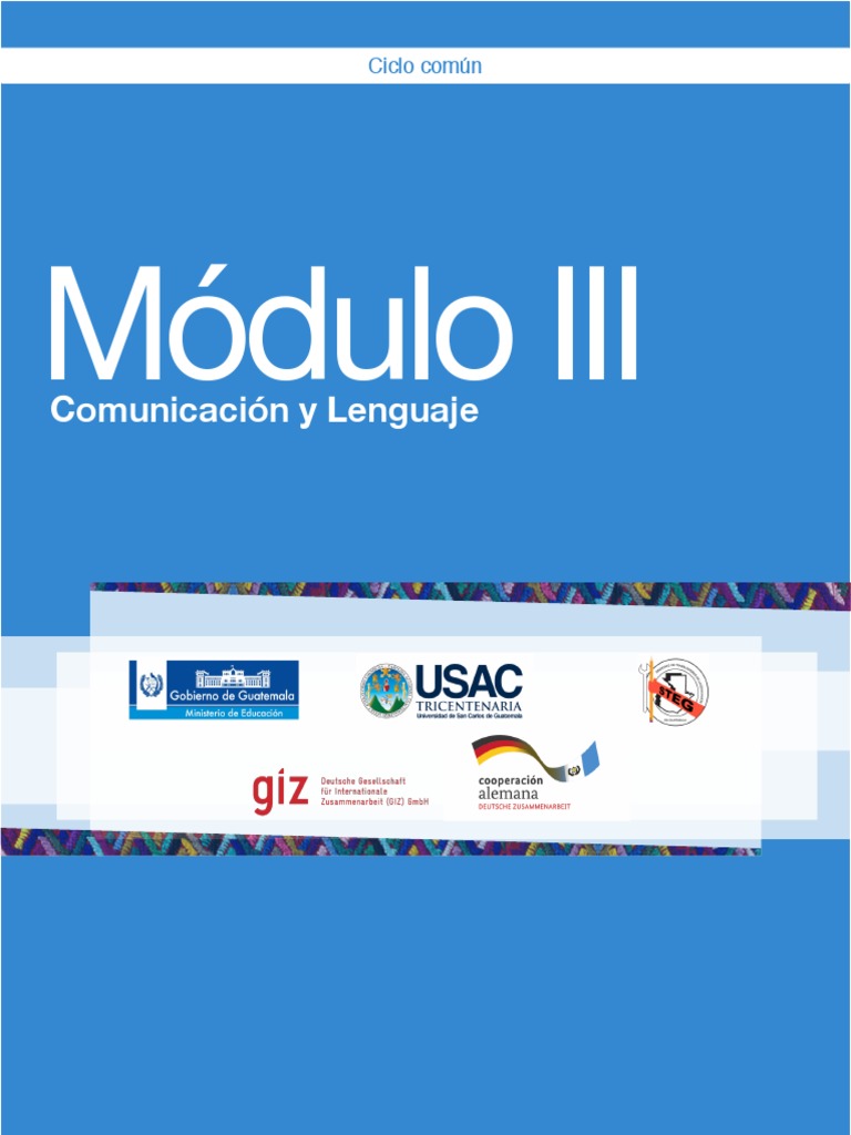 MODULO 3 Comunicacion y Lenguaje Correc Final | PDF | Aprendizaje ...