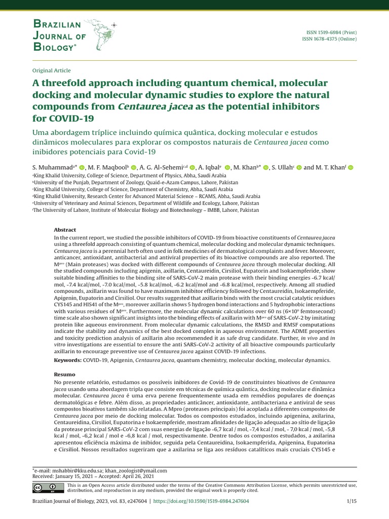 A Threefold Approach Including Quantum Chemical, Molecular | PDF ...