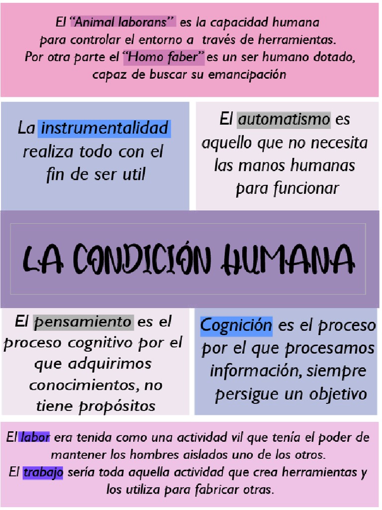 Infografia Condicion Humana | PDF