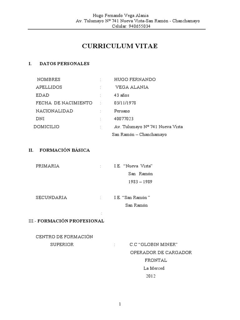 Curriculum Vitae de Hugo Vega Alania | PDF | Gobierno y personalidad ...