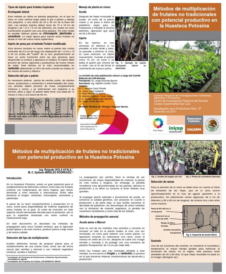 Acodos e Injertos | PDF | Injerto | Organismos