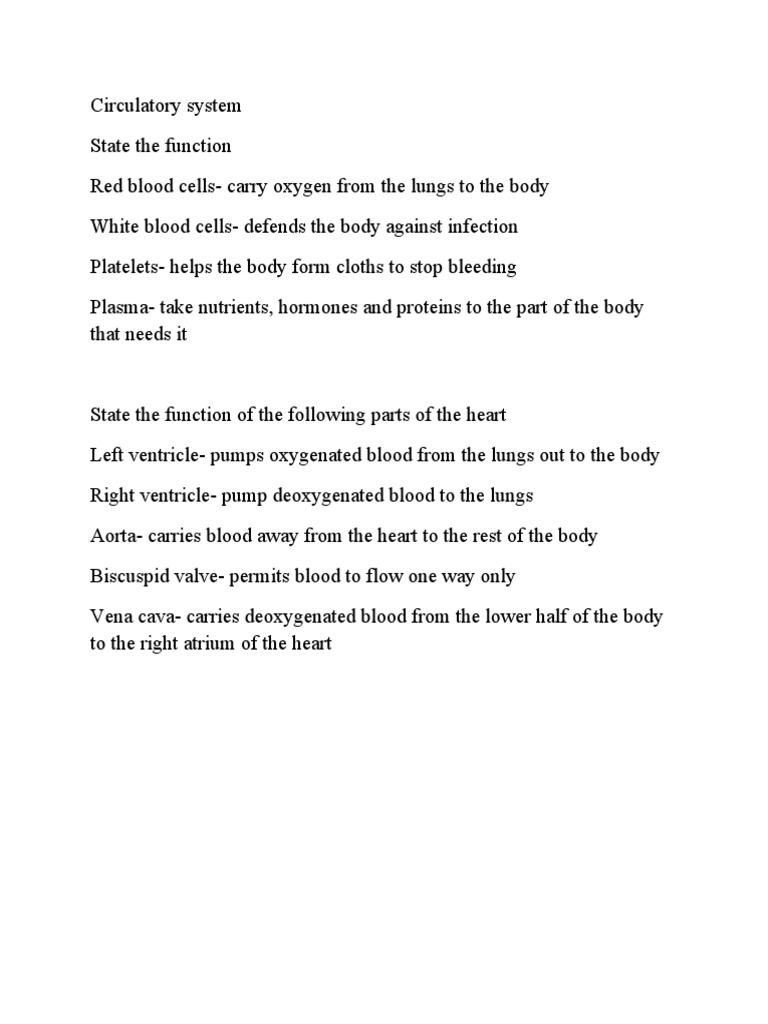 Circulatory System | PDF