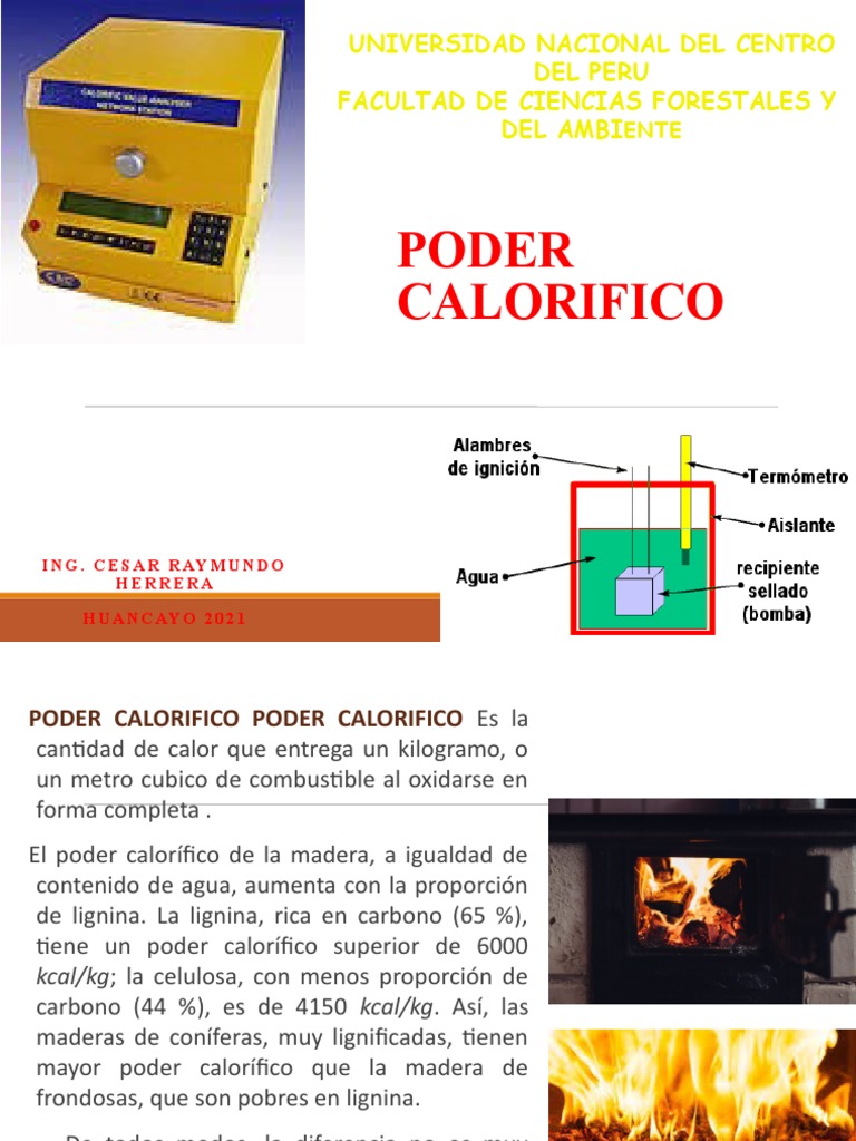 Poder Calorifico 2020 | PDF | Combustibles | Combustión