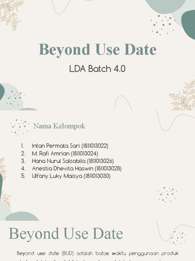 BEYOND USE DATE Elmarisha | PDF