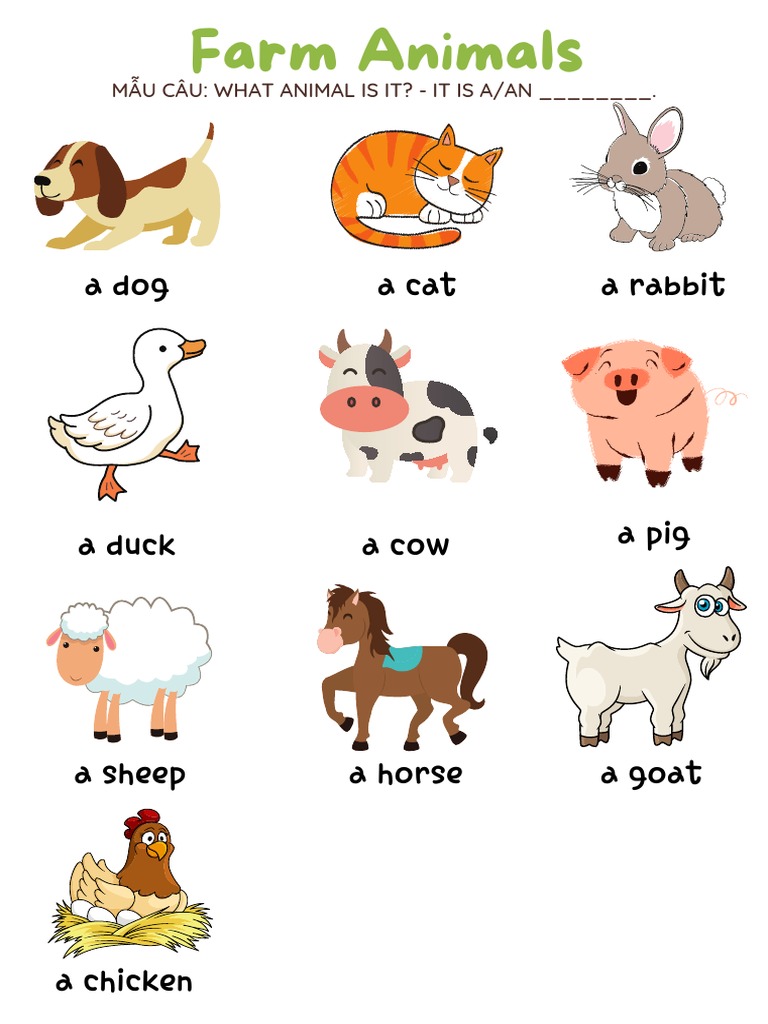 a dog a cat a rabbit: Mẫu Câu: What Animal Is It? - It Is A/An ...
