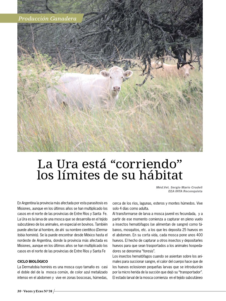 La Ura Está "Corriendo" Los Límites de Su Hábitat: Producción Ganadera ...