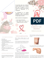 Triptico Cancer de Prostata | PDF | Cancer de prostata | Cáncer