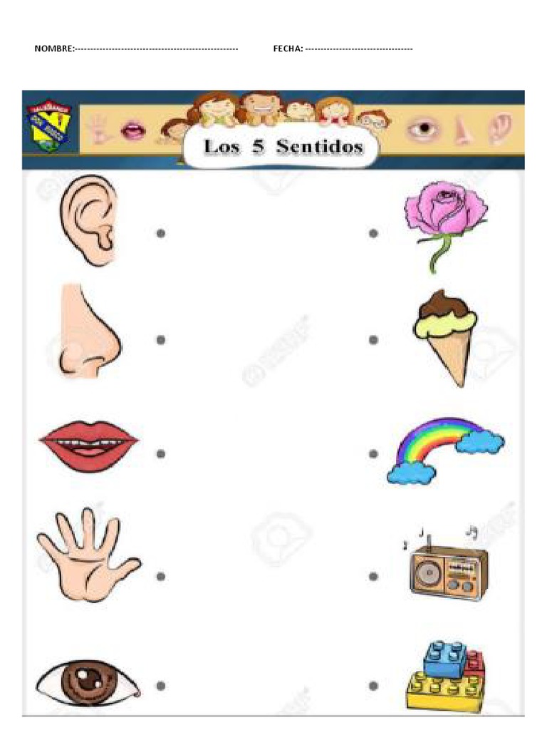 Actividades Los 5 Sentidos | PDF