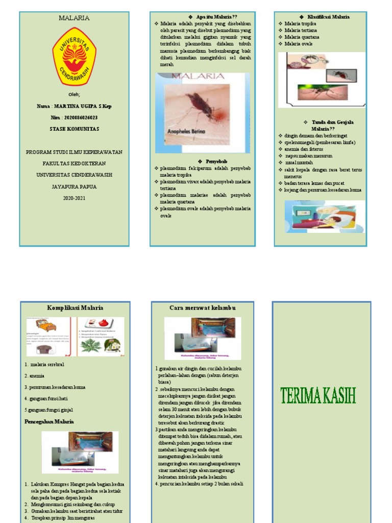Leaflet Malaria | PDF