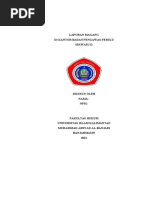 Laporan Kegiatan Magang | PDF