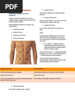 Anatomi Dinding Perut dan Panggul | PDF