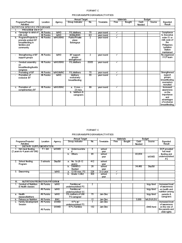 Format C Programs/Programs/Activities: I. Program On Iycf | PDF ...