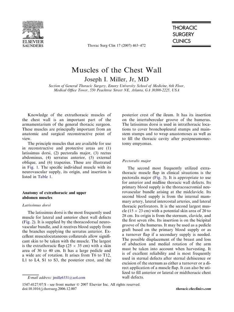 01 Muscles of The Chest Wall | PDF | Thorax | Abdomen