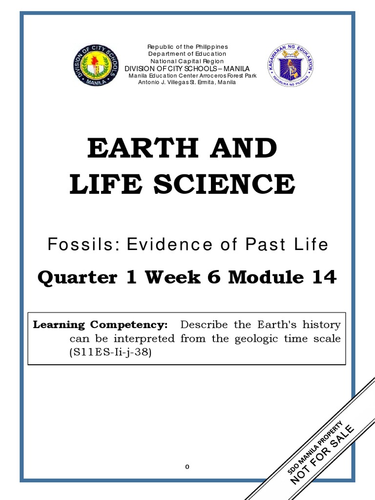 Geologic Time Scale Module 14 | PDF | Geologic Time Scale | Geology