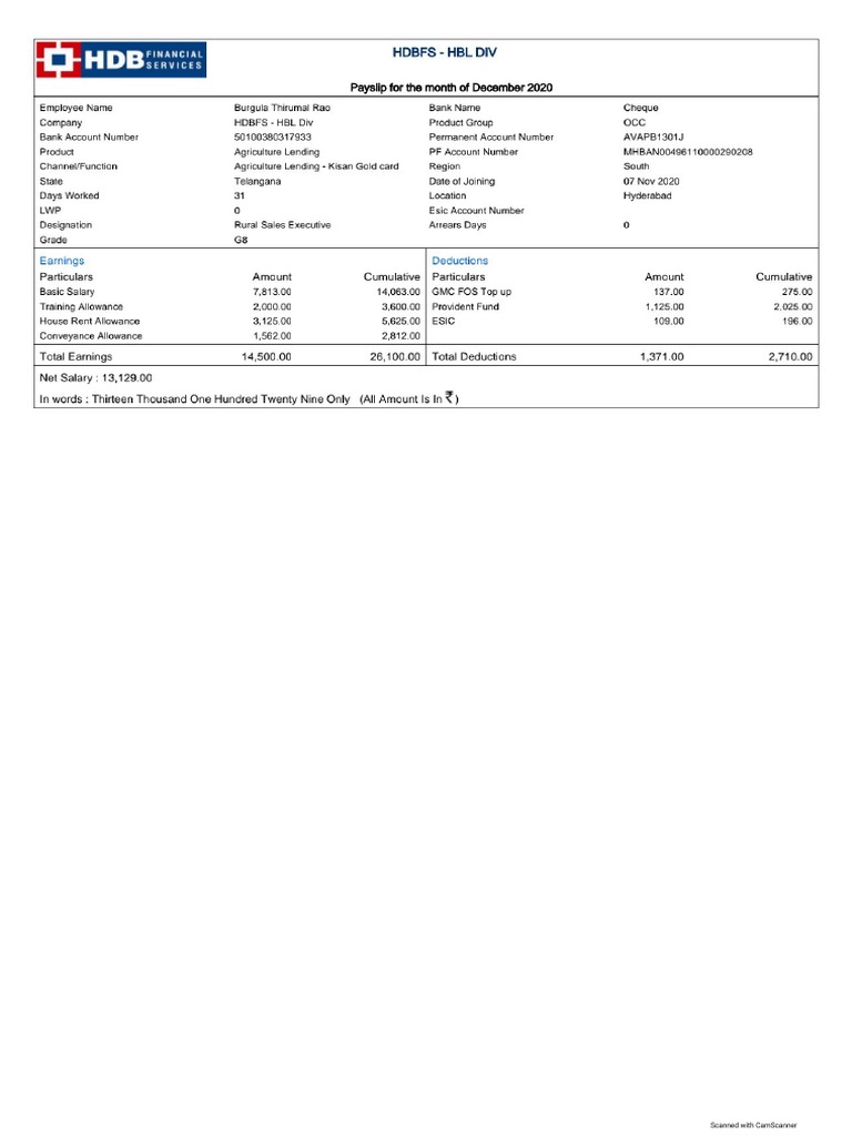 HDB Pay Slip | PDF