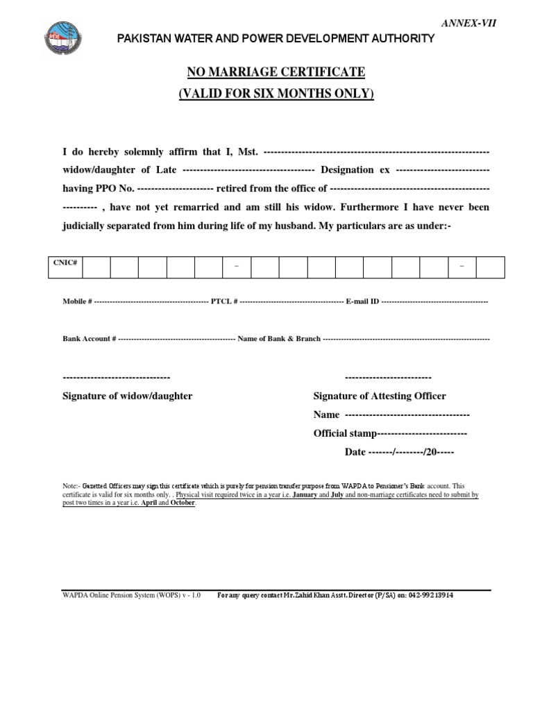 No Marriage Certificate | PDF