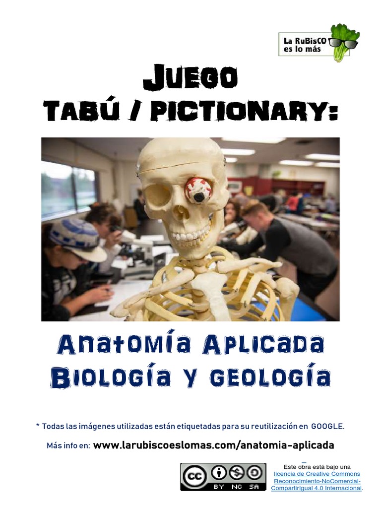 Juego educativo de anatomía y biología | PDF | Sangre | Hueso