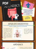 Tipos de Apendicitis | PDF | Rtt | Inmunología