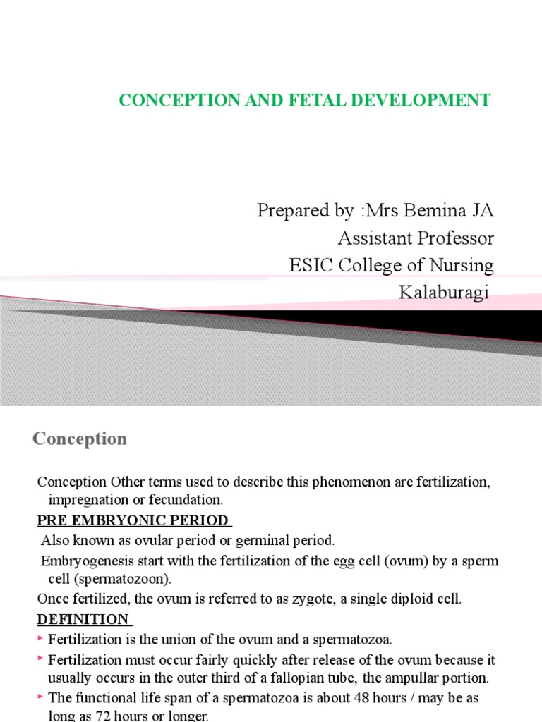 Conception and Fetal Development | PDF | Placenta | Fetus