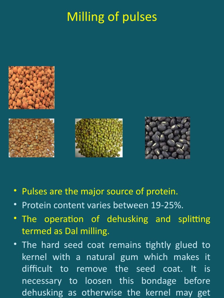 Milling of Pulses: A Guide to the Key Processes and Equipment Used to ...