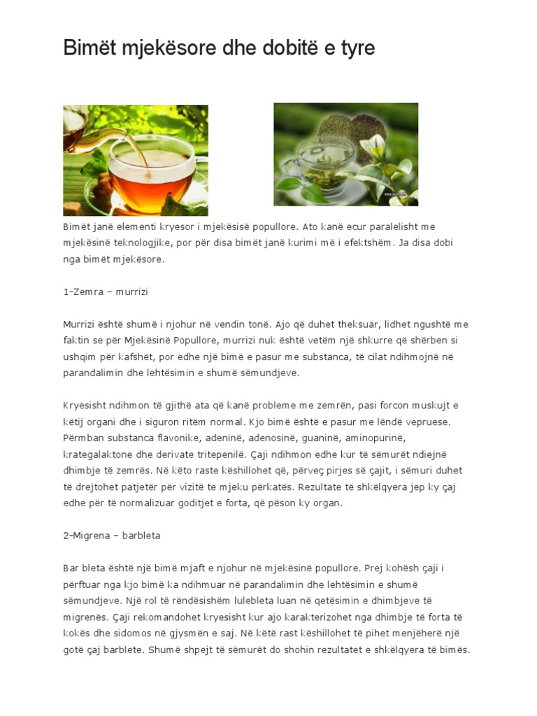 Bimët Mjekësore Dhe Dobitë e Tyre | PDF