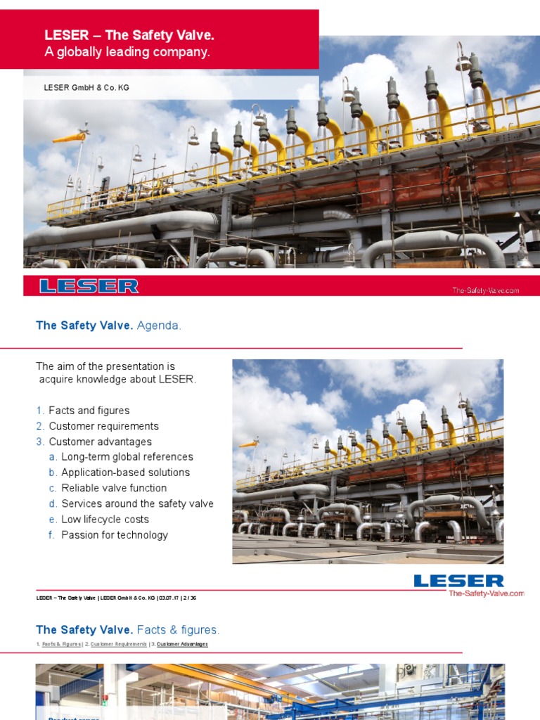 01-01 - LESER-The Safety Valve | PDF | Valve | Online Shopping