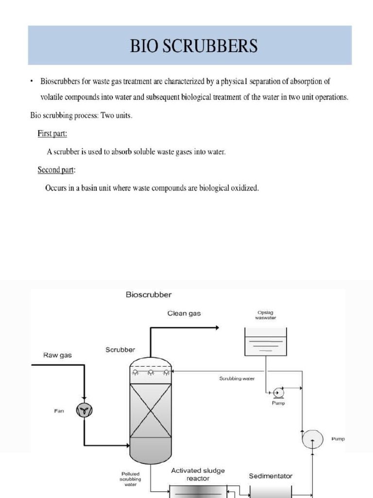 Bio Scrubber | PDF | Pollution | Nature