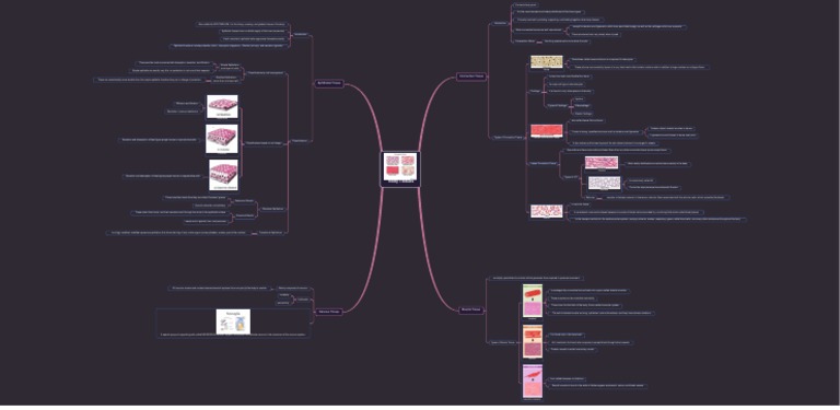 Janoras, DM (Tissue Mind Map) | PDF | Epithelium | Tissue (Biology)