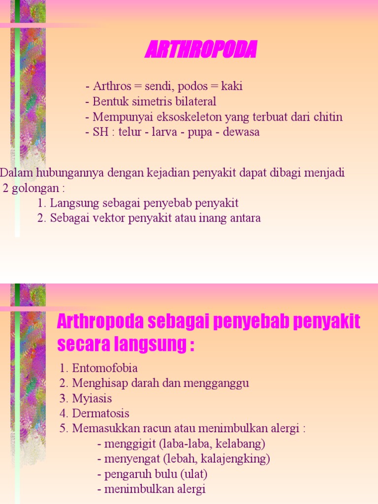 Arthropoda | PDF