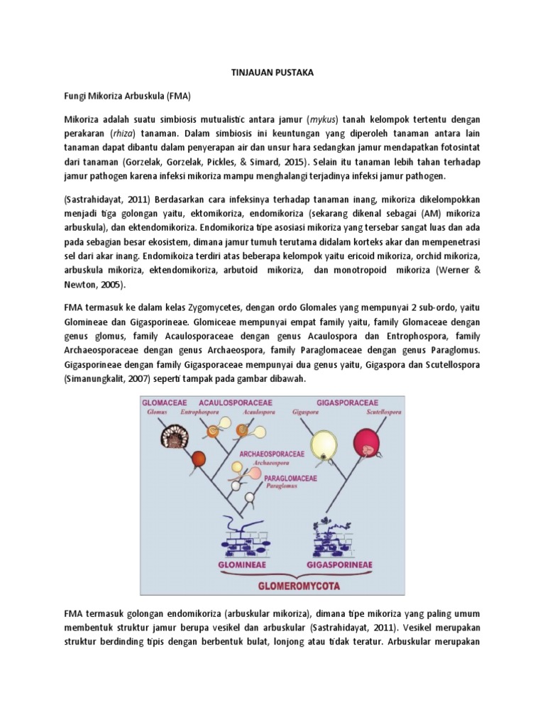 TINJAUAN PUSTAKAm | PDF