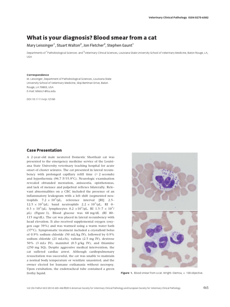 What Is Your Diagnosis? Blood Smear From A Cat: Mary Leissinger, Stuart ...
