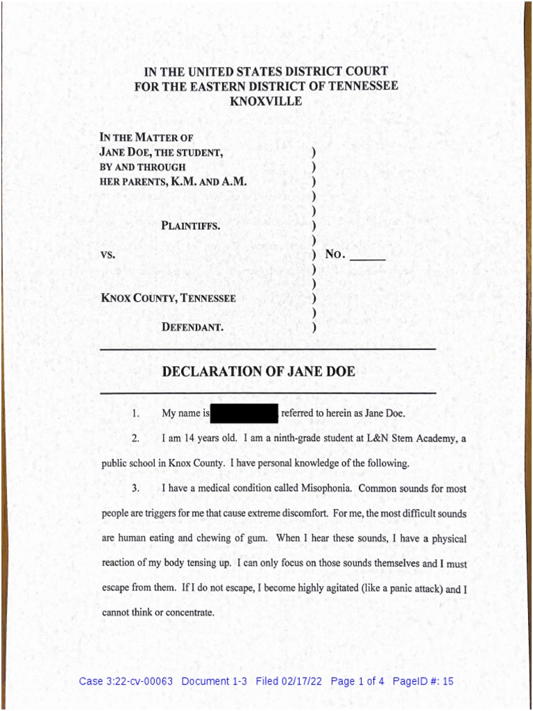 1-3 JD Declaration | PDF