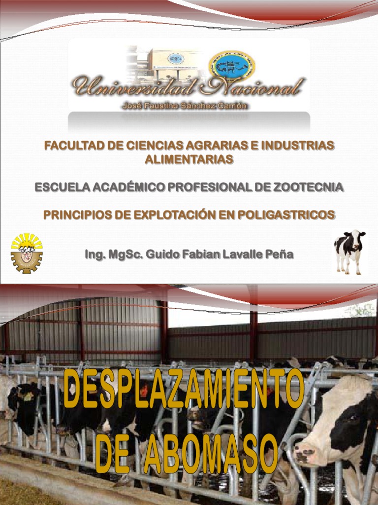 Desplazamiento de Abomaso en Vacas | PDF | Vacas | Medicina CLINICA