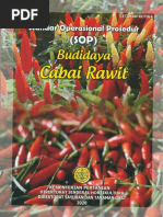 Panduan Budidaya Cabai Rawit Komprehensif | PDF