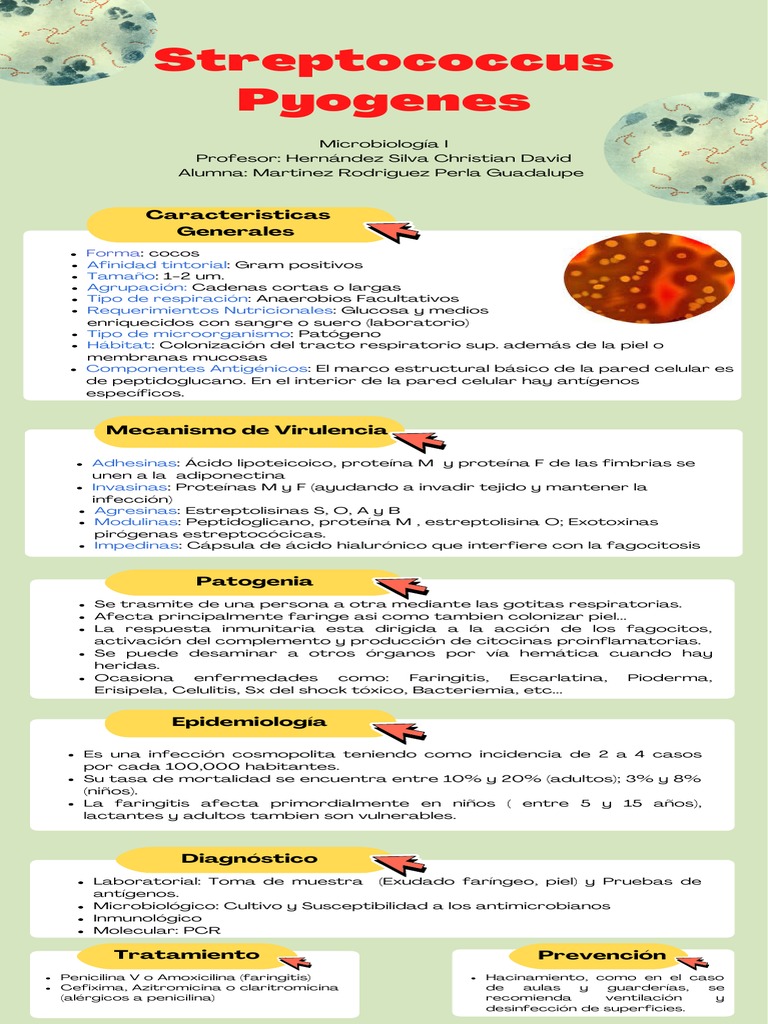 Streptococcus Pyogenes | PDF | Epidemiología | Medicina