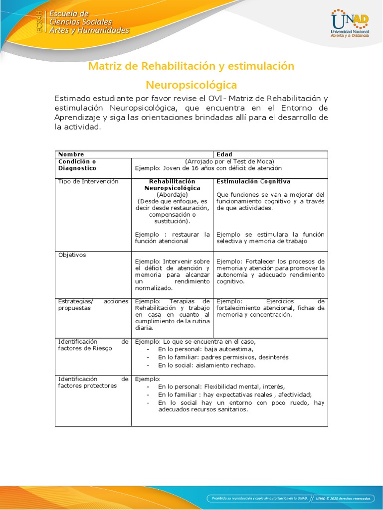 Matríz de Rehabilitación Neuropsicológica.-1 | PDF | Atención ...