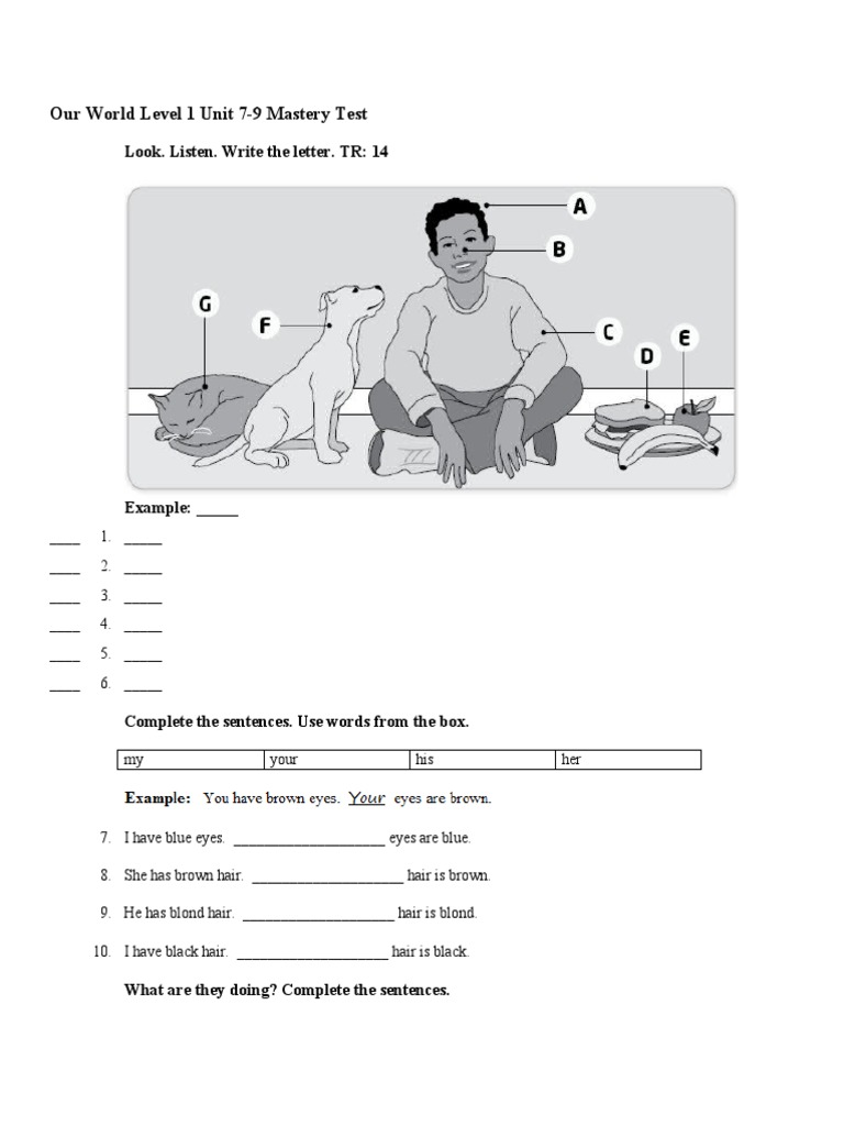 Our World Level 1 Units 7 9 Mastery Test | PDF | Linguistics