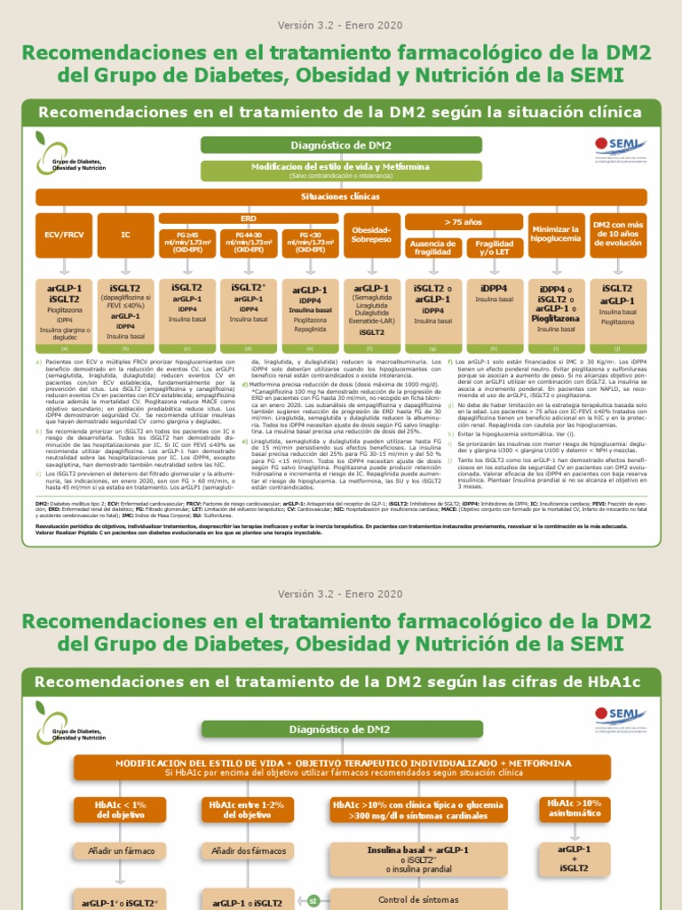 Recomendaciones Manejo - DM2 2020 | PDF | Hipoglucemia | Diabetes