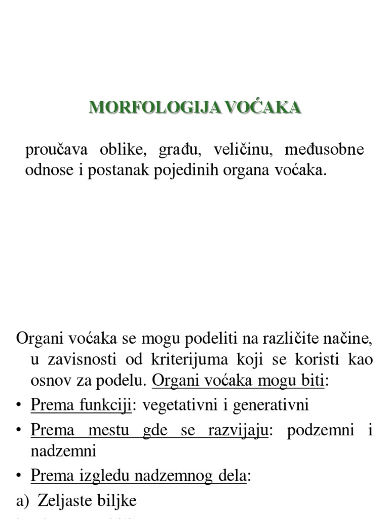 03 Morfologija Vocaka | PDF