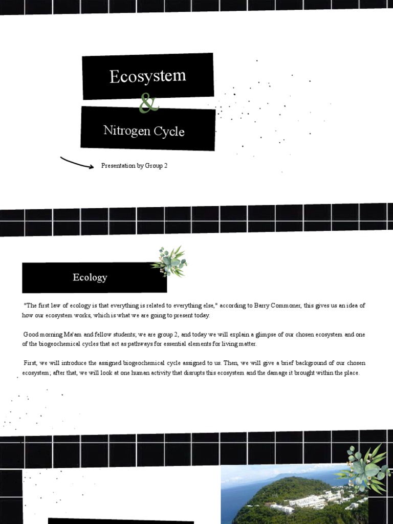 Nitrogen Cycle and Marinduque Marcopper Mining Incidents | PDF ...